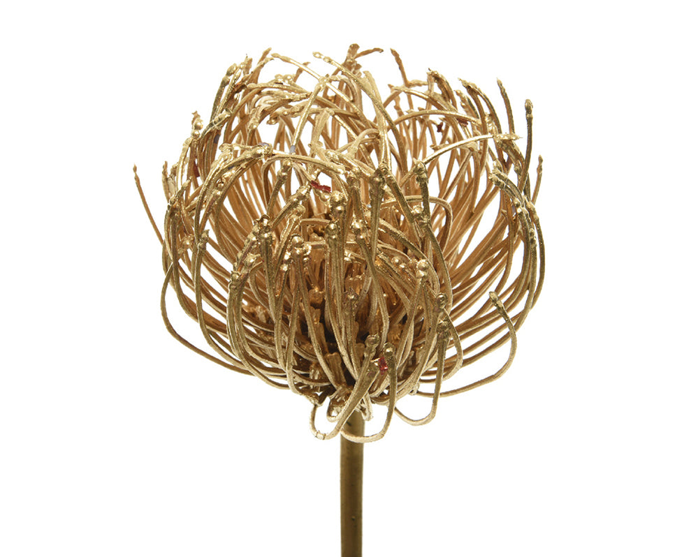 Kaemingk Spider Flower On Stem Gold — Carpenders Park Garden Centre