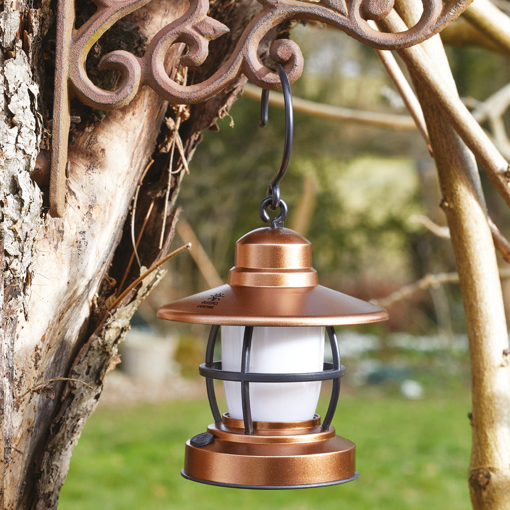 Smart Garden Duo DecoLantern — Carpenders Park Garden Centre