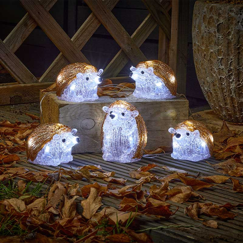 Smart Garden Inlit Ice Hedgehogs - Set Of 5 — Carpenders Park Garden Centre